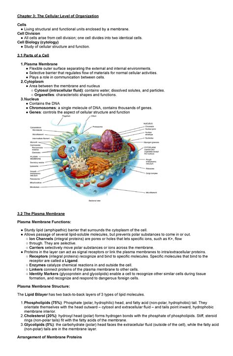 What Does A Cellular Level Mean At Glenda Macon Blog