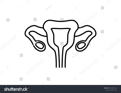 Human Body Internal Organs On White Stock Vector Royalty Free Shutterstock