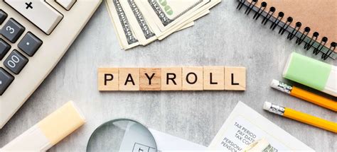 Payroll Audit Relyon Business Solution Raipur Cg