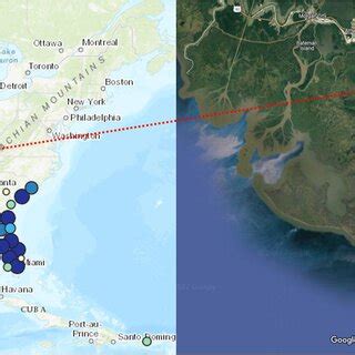 The Map Left Represents Collection Records Of P Maculata In The USA