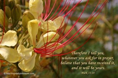 Pray Believe Receive Believe Bible Verses Mark 11 24