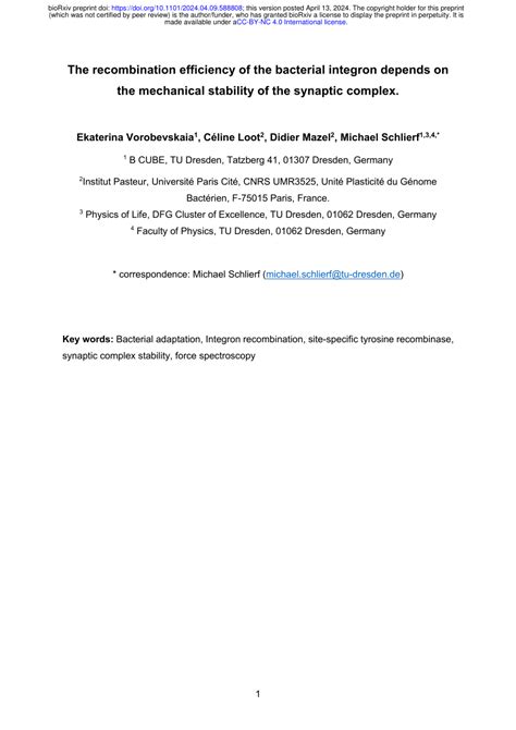 Pdf The Recombination Efficiency Of The Bacterial Integron Depends On