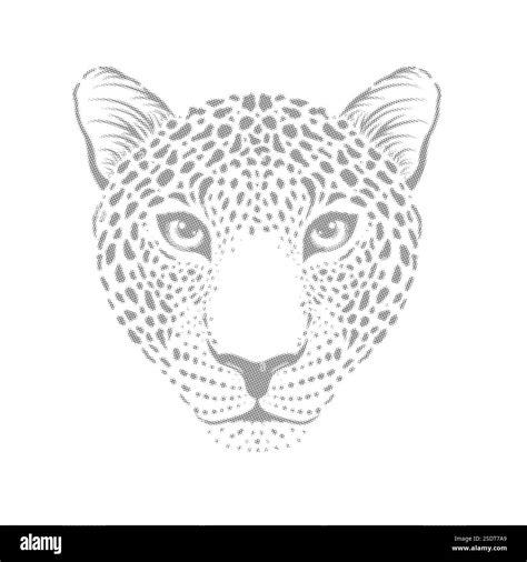 Halftone Leopard Head Stock Vector Image And Art Alamy