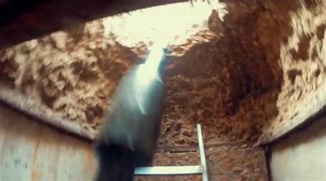 ХАМАС ОБЈАВИ СНИМКА ОД БОРБИТЕ СЕ ГЛЕДААТ МИЛИТАНТИ КАКО ИЗЛЕГУВААТ ОД ТУНЕЛИ НАРОДЕН ГЛАС