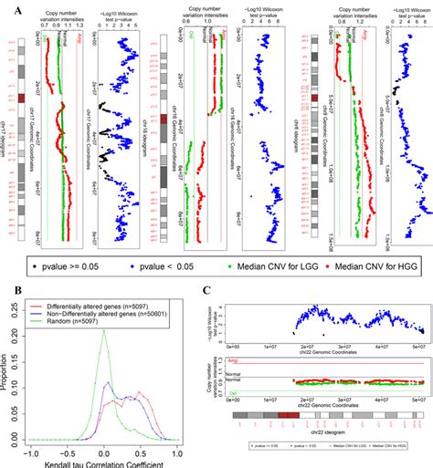 Copy Number Variation Visualization Of Few Chromosomes In Which The