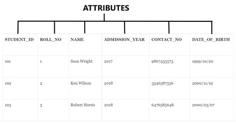 difference between entity and attribute