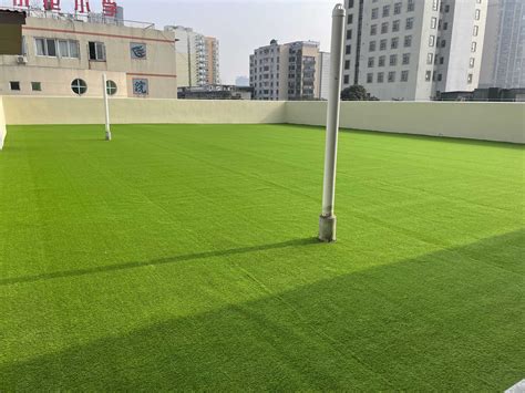 案例 成都市奇基草坪有限公司
