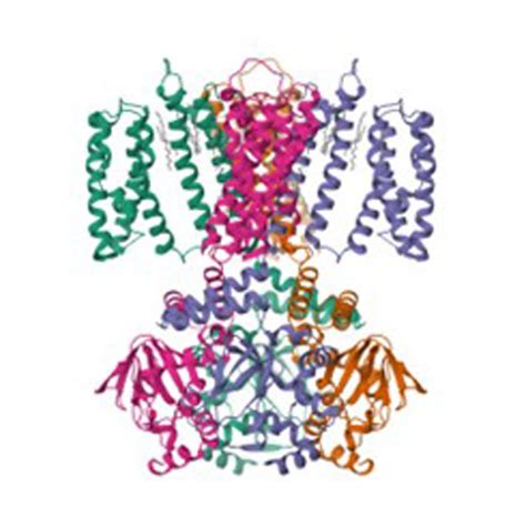 Cryo Electron Microscopy Principle Strengths Limitations And