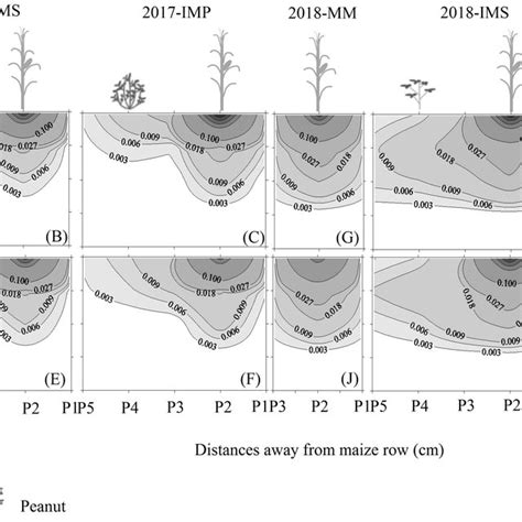 Spatial Root Surface Area Density Rsad Cm 2 Cm −3 Distribution Of Download Scientific