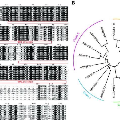 protein sequence alignment of sweets and phylogenetic tree analysis