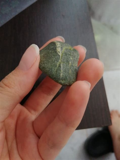 newbie here could this be a fossil r fossils