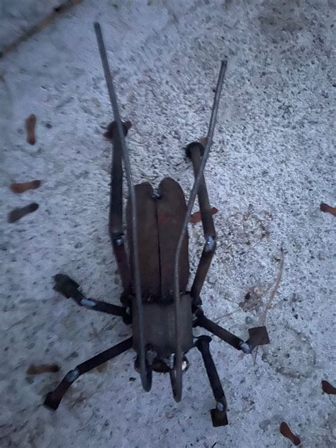 Spray Can Grasshopper Winthrop Gallery