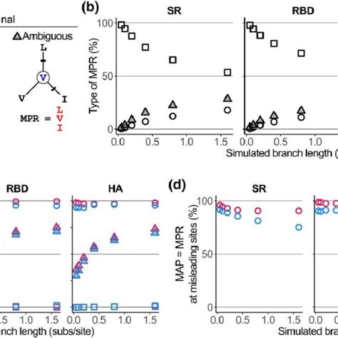 The Genetic Code There Are Two Codons Half Blocks For Phe Tyr Cys