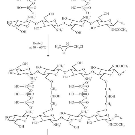Ir Spectra Of Chitosan A And Cross Linked Chitosan Beads B Download Scientific Diagram