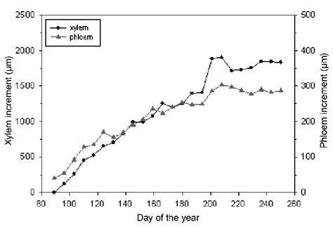 Weekly Xylem And Phloem Increments In Sessile Oak Download