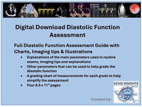 Diastolic Function Echo Assessment Echocardiogram Cardiology Echo