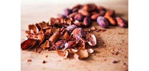 Fossa Chocolate X Oasis Fossa Chocolate