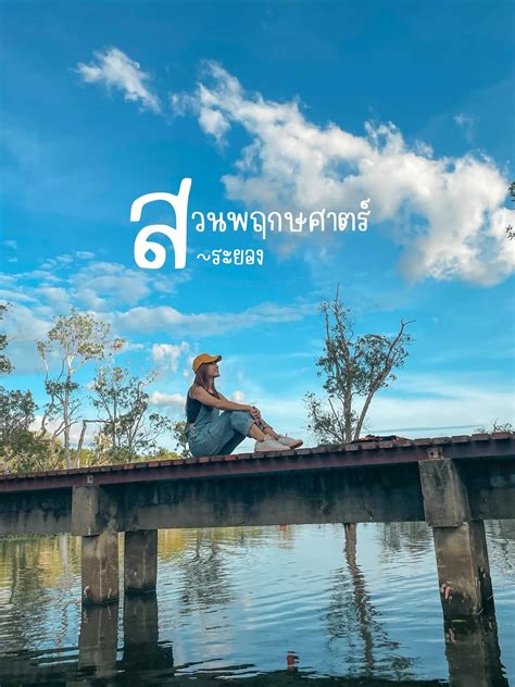 พายคายคในปาเสมดโบราณ เหมอนหลดเขาไปในหนง วดโอทเผยแพรโดย
