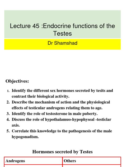 Lecture 45 Endocrine Functions Of The Testes Dr Shamshad Pdf Testosterone Luteinizing Hormone