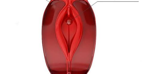 Nice Mouse I Think Imgur