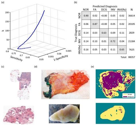 optimization and performance of the nearest neighbor classifier for