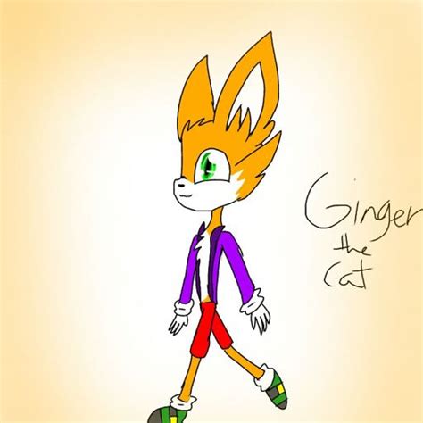 To Ginger The Cat Sonic The Hedgehog Amino
