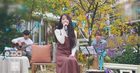 제제 논란 나의 라임오렌지나무 판매 급증