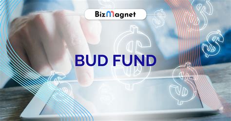 Bud專項基金推出電商易 Bizmagnet