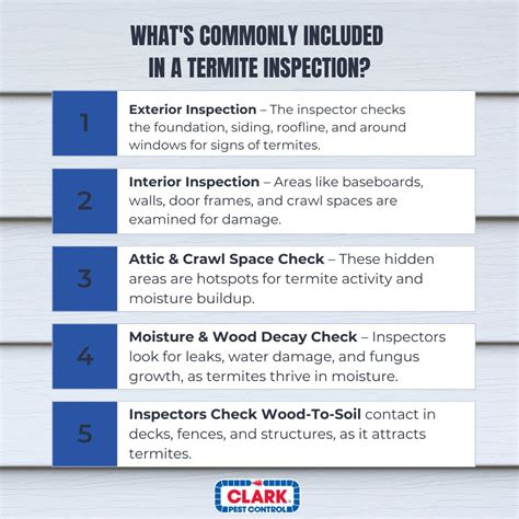 Clark Dont Let Termites Eat Away At Your Home A Termite Wdo
