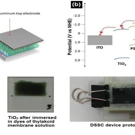 A The Device Structure And B Energy Band Diagram Of The Dssc Download Scientific Diagram