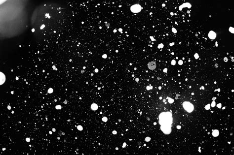 粉雪 レミオロメン・藤巻亮太 に 春よ来い