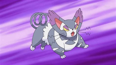 Download Purugly Poised And Ready To Go Wallpaper