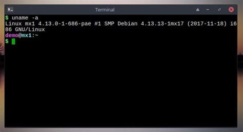 Permisos Linux Qué Son Y Cómo Cambiarlos