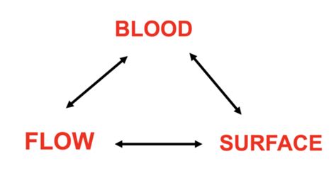 Bpm Exam 2 Flashcards Quizlet