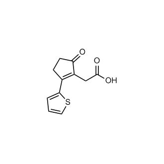 Oxo Thiophen Yl Cyclopent En Yl Acetic Acid Chemscene Llc