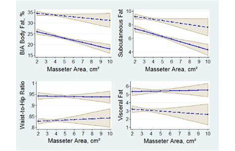Predictive Margins Of Adiposity Measures By Masseter Muscle Area Solid