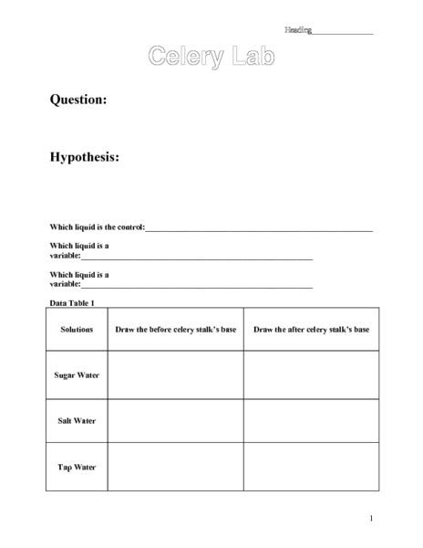 Celery Lab Worksheet For 5th 10th Grade Lesson Planet