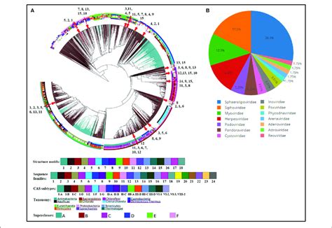 Crispr Repeat A And Spacer B Analyses A Dendrogram Depicting