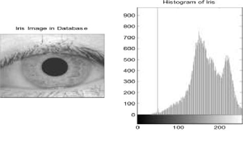 figure 3 from iris recognition based on human interpretable features