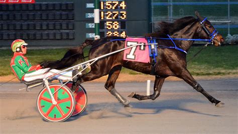 Shes All Woman Strikes Again In Dover Dsbf Prelim U S Trotting News