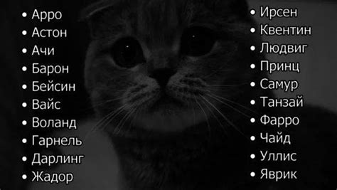 Как можно назвать кошку красивым именем топ имён кошек