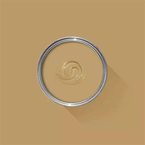 Farrow And Ball Duster No 319