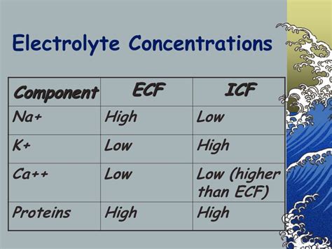 Fluid And Electrolytes Linda S Heath Pediatrics N422 Feb Ppt Download
