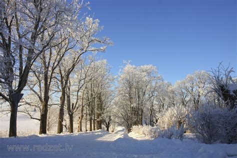 Ziemas Ainava Ainava Redzeteu