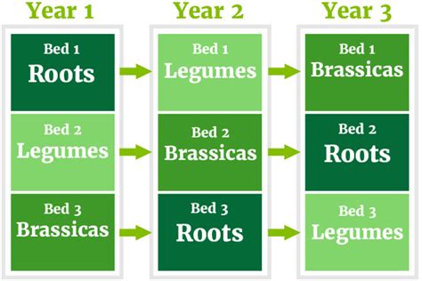 Organic Crop Rotation Chart Crop Rotation In Organic Systems Oregon