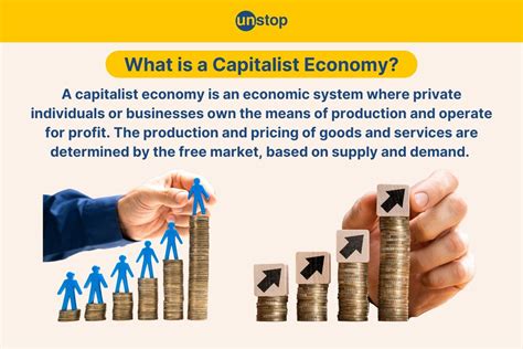 Capitalist Economy Definition Features Merits And Demerits Unstop