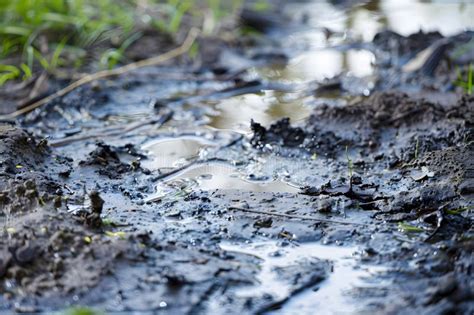 Muddy Puddle Reflections Earth Water And Texture Play Under Gentle