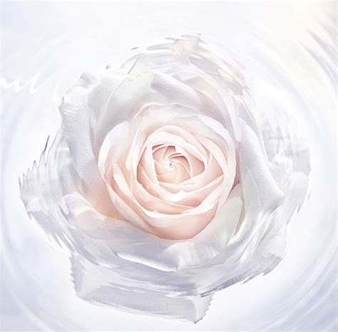 Dior Tmall