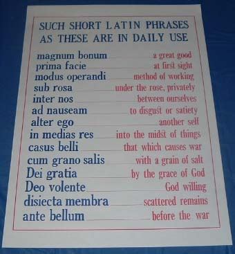 Funny Latin Quotes Quotesgram