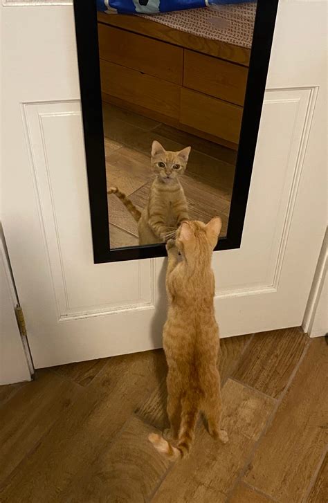 Tilly Lounge Podcast Receipts Whygodwhy